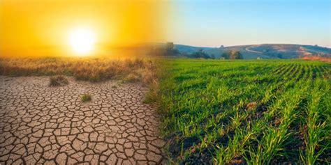 What Is Climate Smart Agriculture Csa Agribusiness Education And