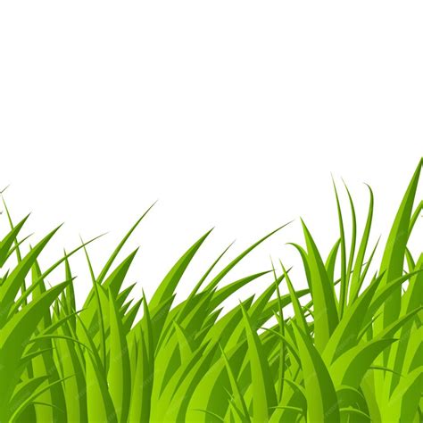 Premium Vector Green Grass Blades Green Grass Isolated Background