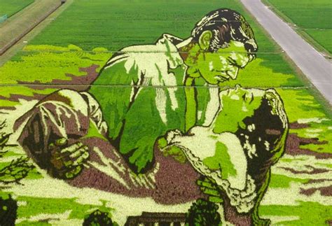 Rice Field Art