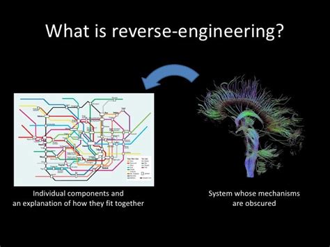 Reverse Engineering The Brain Online