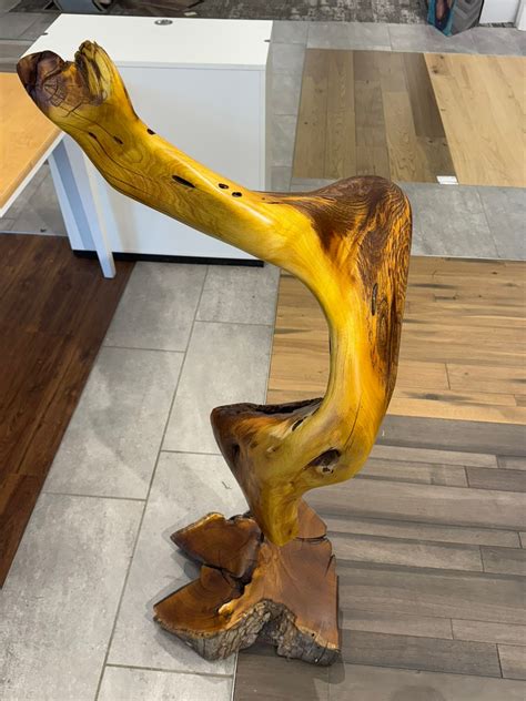 350 Year Old Bois Darc Tree Root Bois Darc Kingdom Facebook