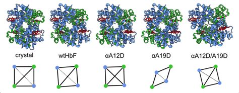 The Crystal Structure Of Pdb Id 4mqj Soman And Olson 2013 And Four