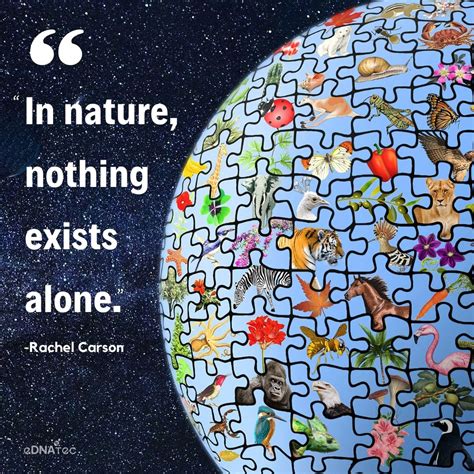 Ednatec On Linkedin Biodiversity Biodiversityday Environmentaldna