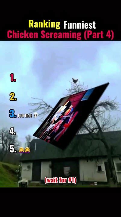 Ranking Funniest Chicken Screaming Part 4ranking Funny Shorts