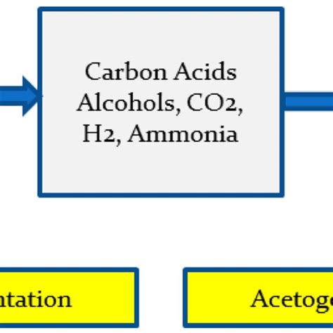 Four Steps Of Anaerobic Digestion Processes Download Scientific Diagram