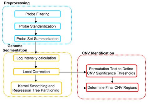 Overview Of The Data Analysis Work Flow See Methods For Details Download Scientific Diagram