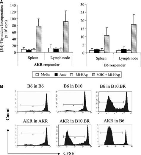 In Vitro And In Vivo Proliferative Responses Of Lymphocytes To Mi Hag Download Scientific