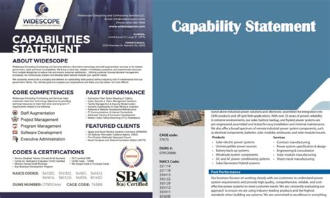capability statement capability proposal government proposal and