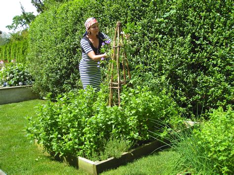 Frances Schultz Kdhamptons