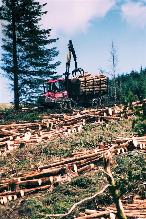 Wood Requirements Egger