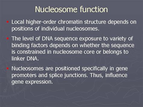 The Sequence Structure Of Human Nucleosome Dna