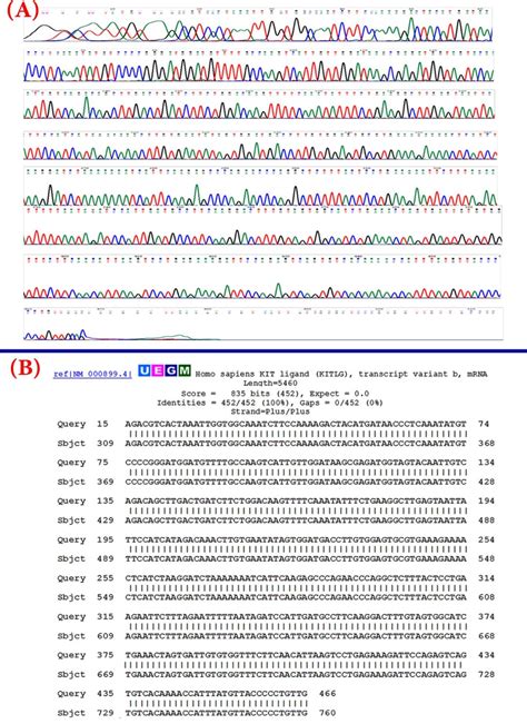 Sequencing Analysis Of Recombinant Vector A Chromatogram Of Download Scientific Diagram