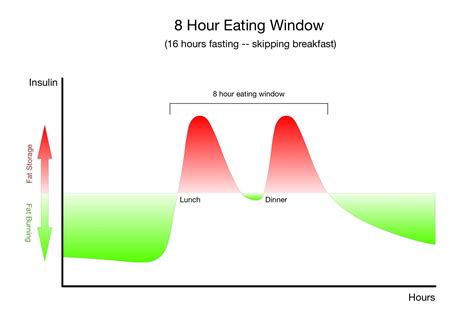 Intermittent Fasting Myths Busted Evelyn D