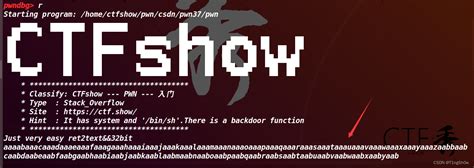 Ctfshow Pwn入门 栈溢出pwn37 Pwn38 Csdn博客