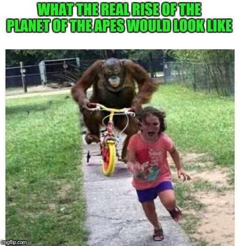 Planet Of The Apes Memes And S Imgflip