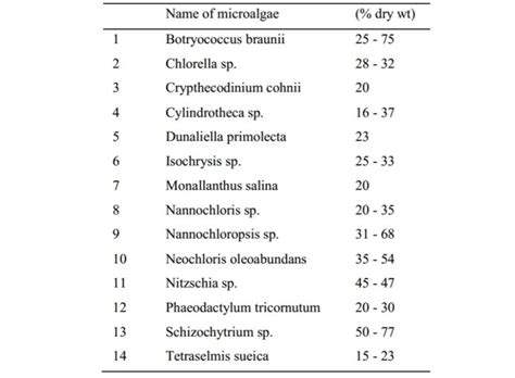 Microalgae In Biofuel Production Plantlet