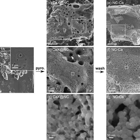 Self Templating Synthesis Of Hierarchically Porous Carbon Materials