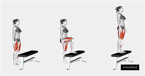 Step Up Guide Muscles Worked Tips Athlemove