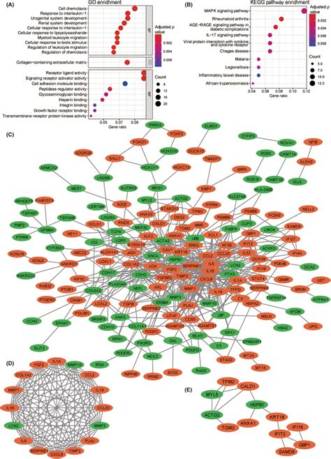 Function Enrichment Analysis And Proteinprotein Interaction Ppi