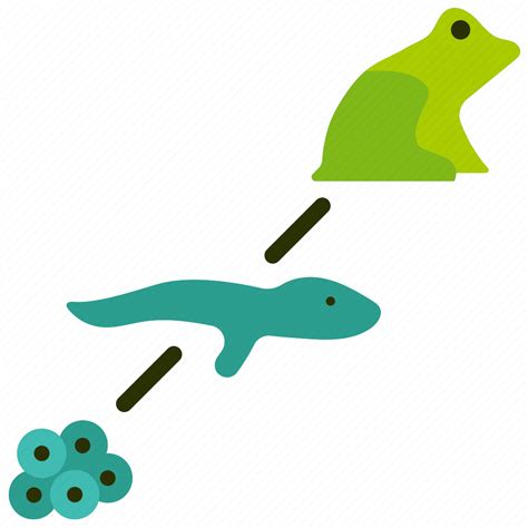 Evolution Frog Biology Development Growing Science Cycle Icon