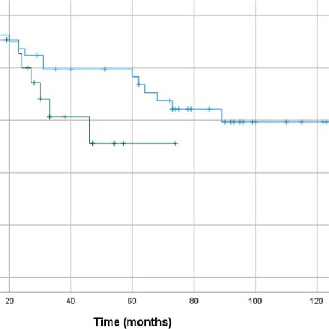 Kaplanmeier Plots Censored Data For Survival Of Patients With Download Scientific