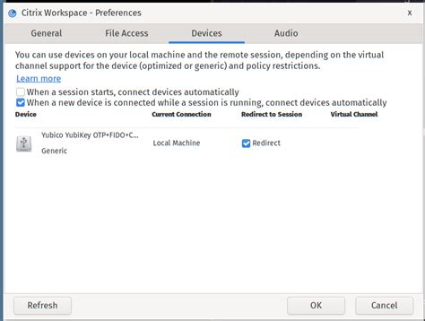 Citrix Workspace Fails To Detect Usb Devices Unsupported Software Aur And Other Garuda Linux