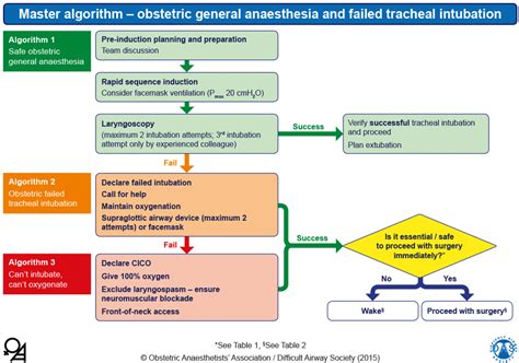 Obstetric Anaesthesia For Major Interventions Obstetrics Gynaecology And Reproductive Medicine