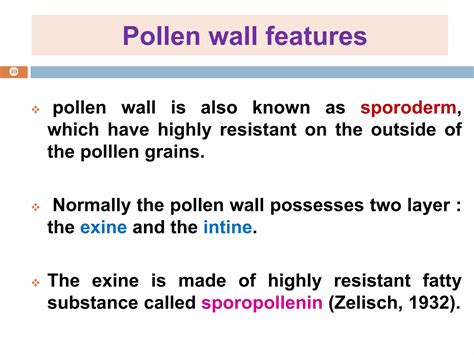 Male Gametophyte Morphology Pptx