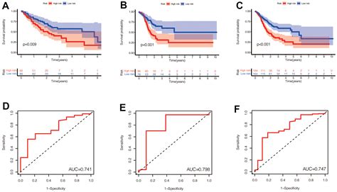 Long Non Coding Rna Signature For Predicting Gastric Cancer Survival