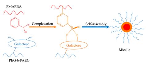 Stimuli Responsive Macromolecular Self Assembly
