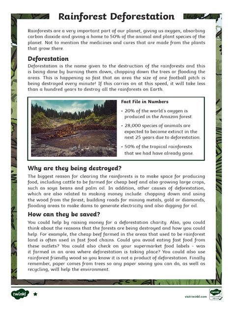 Deforestation Year 4 Cgp Plus Worksheets Library