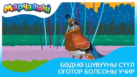 Бөднө шувууны сүүл огтор болсоны учир үлгэр МАРЧААХАЙ 👍Эрч хүчээр дүүрэн шинэ долоо