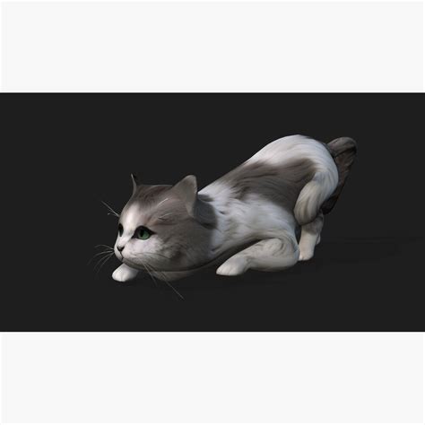 Cat A2 3d 모델 다운로드 포유류 On