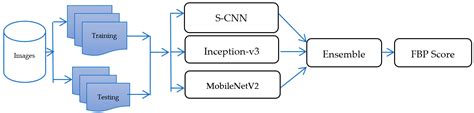 Facial Beauty Prediction Using An Ensemble Of Deep Convolutional Neural Networks