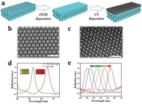 Fabrication Of The Janus Wettability Robotic Devices With Structural Download Scientific