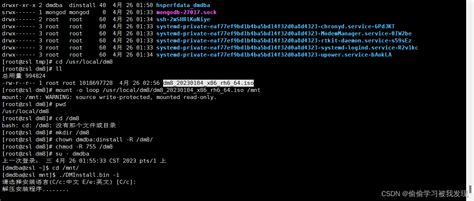 在kylinv10安装dm8、卸载dm8 kylin卸载命令 csdn博客