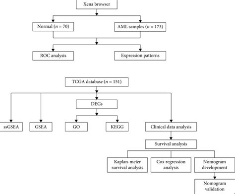 Overall Flow Chart Of This Work Download Scientific Diagram