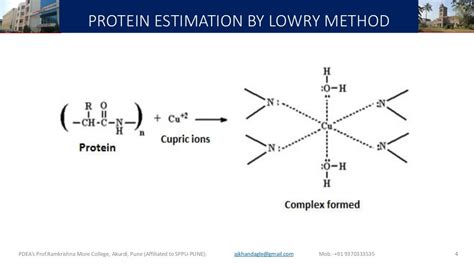 Lowry Method For Protein Estimation