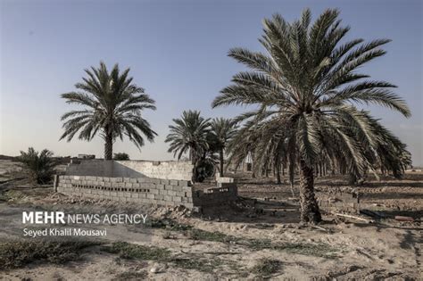 دوره تغییرات اقلیمی و خشکسالی در خوزستان برگزار شد خبرگزاری مهر اخبار ایران و جهان Mehr