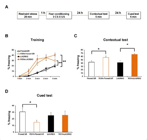 Effect Of Acute Prior Stress On Auditory Cued Fear Conditioning A