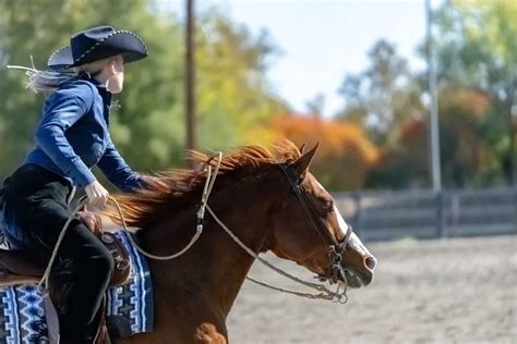 Uc Davis Equestrian Team Wins Final Home Meet Before D1 Demotion