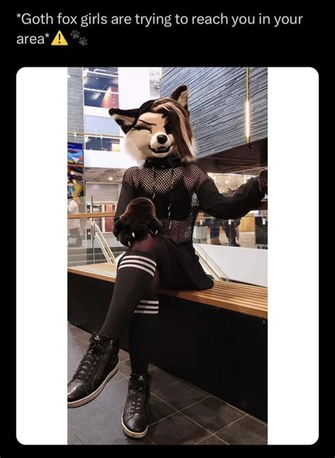 Finally Something Mikey And Aaron Can Agree Upon R Internetcity