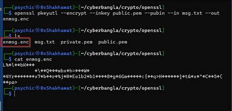 Demystifying Rsa Encryption And Decryption With Openssl Shakhawat Penetration Tester
