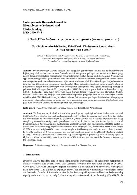 Pdf Effect Of Trichoderma Spp On Mustard Growth Brassica Juncea L