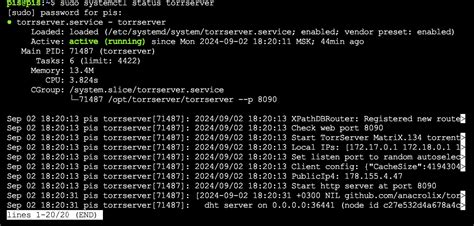 Установка Torrserver на Raspberry Pi Linux Mint Ubuntu Ubuntu Server Debian и всего что