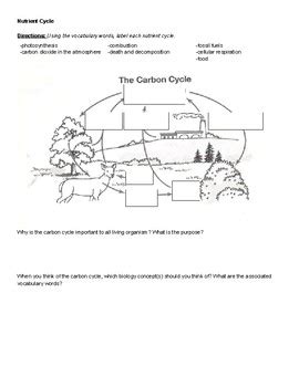 Nutrient Cycle Practice By Mrs Yang TPT