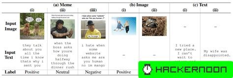 enhancing meme classification through supplementary training techniques