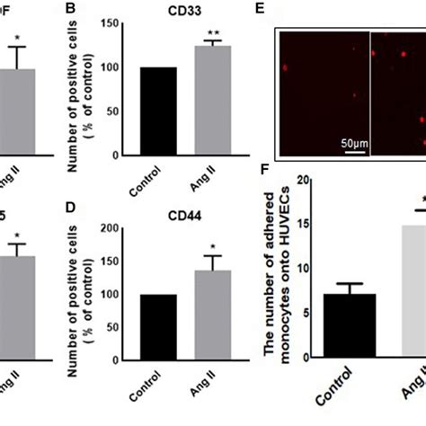 Ang Ii Increases Monocyte Adhesion To Huvec Cells The Number Of Download Scientific Diagram