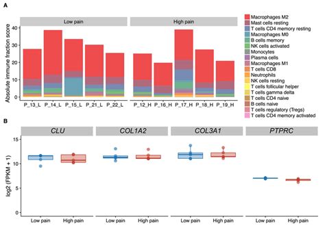 Deconvolution Analysis Of The Cell Composition In Synovial Tissue