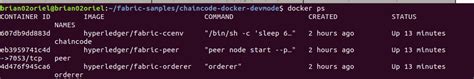 docker container hyperledger fabric tools cli doesn t run for go